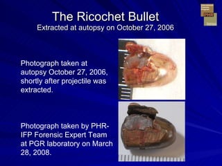 Examination of Evidence in the Brad Will Case (English) | PPT