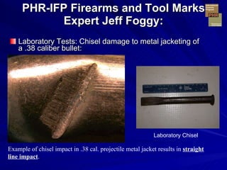 Examination of Evidence in the Brad Will Case (English) | PPT