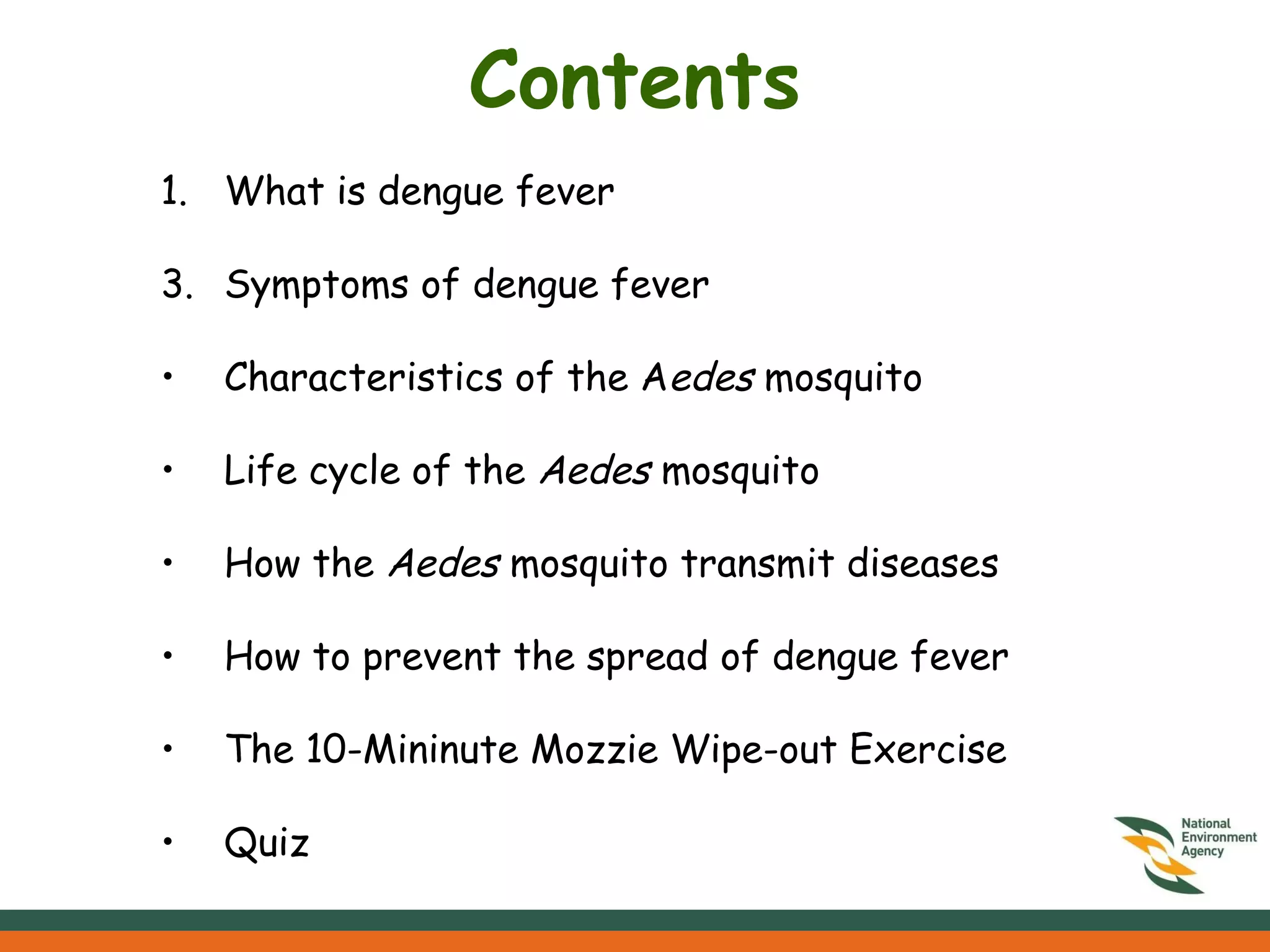 Dengue Prevention | PPT