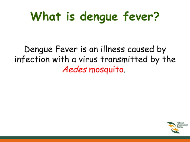Dengue Prevention | PPT