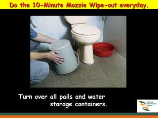 Dengue Prevention | PPT