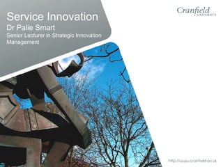 Innovation in the service sector | PDF