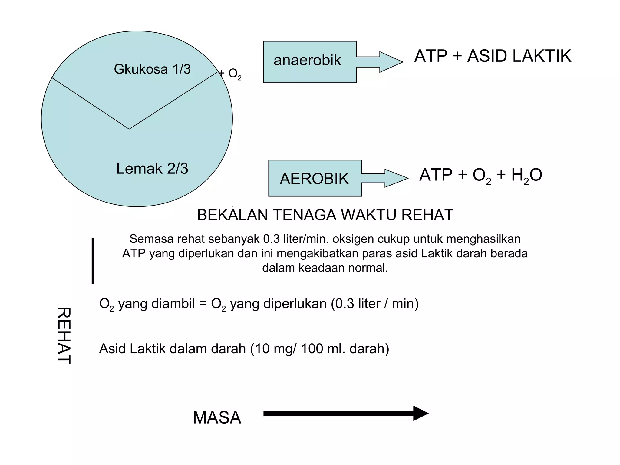 mengira kadar nadi latihan | PPT