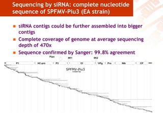 Deep Sequencing of Small RNA: a Generic Method for Diagnosis, Discovery ...