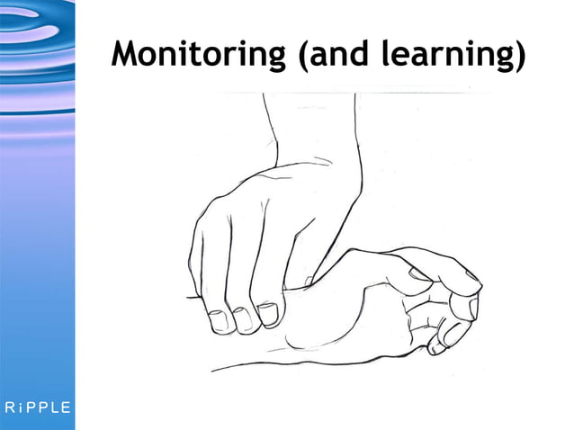 RiPPLE project communication and M&E | PPT