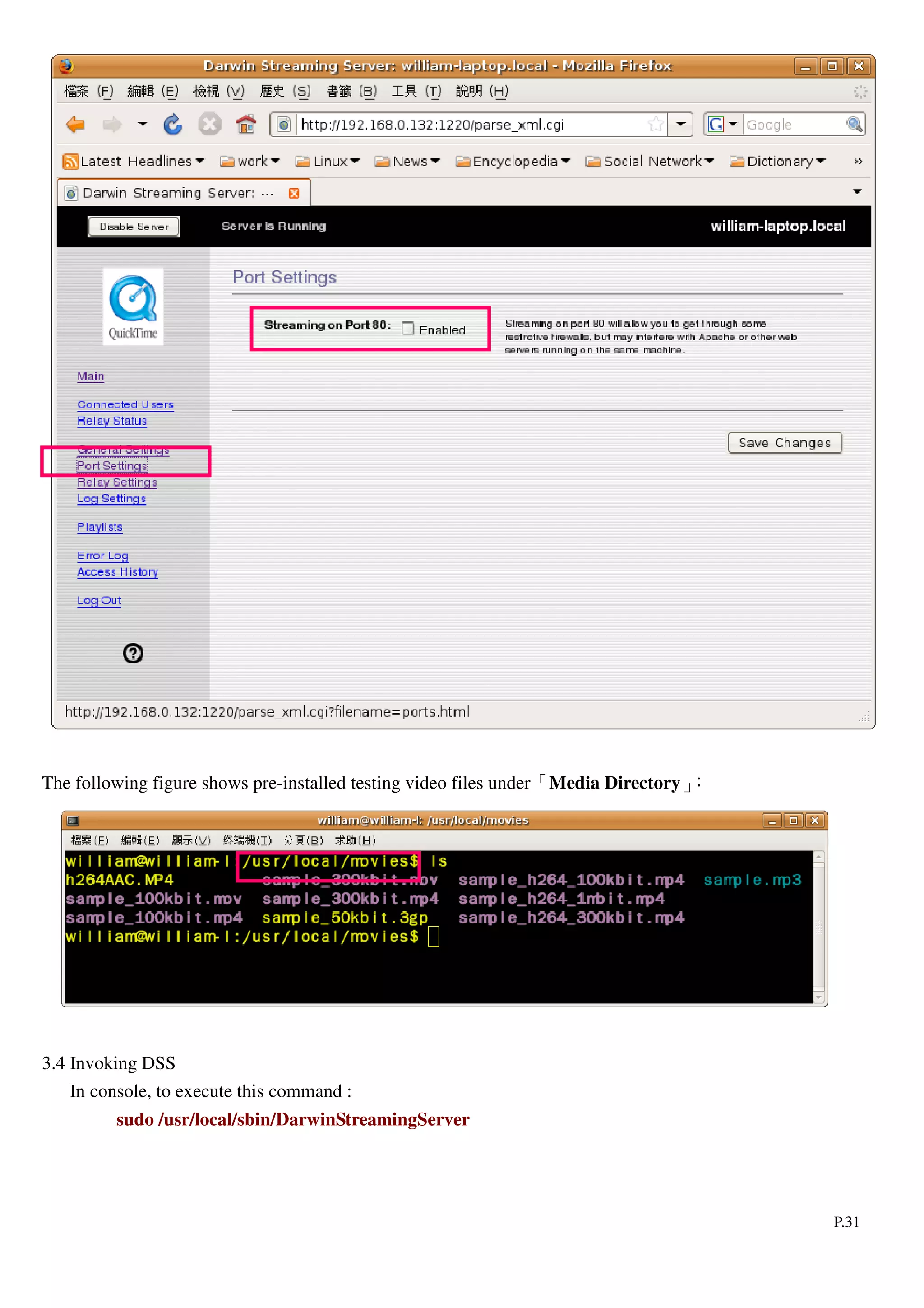Streaming Media Server Setup Manual | PDF