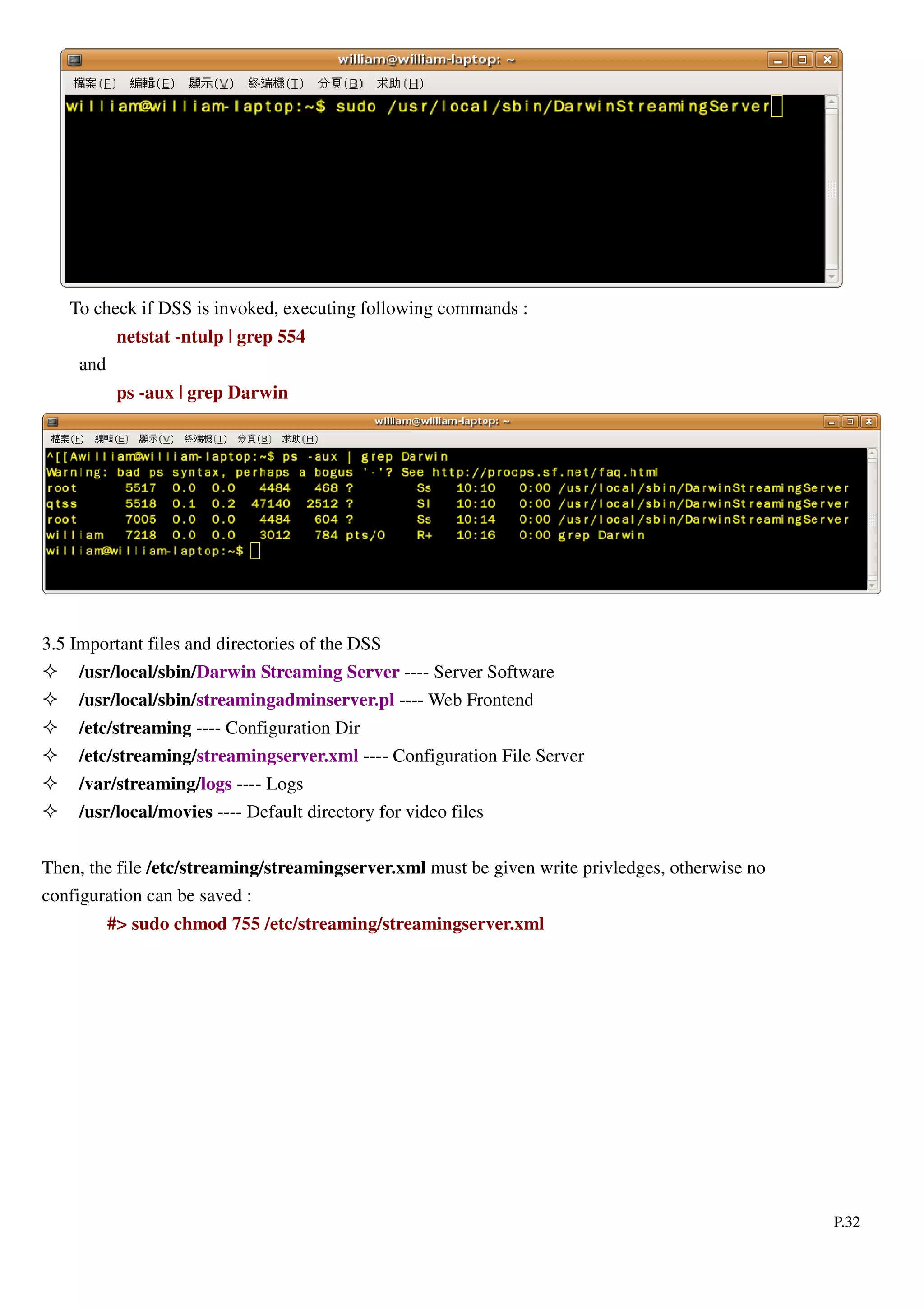 Streaming Media Server Setup Manual | PDF