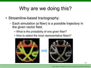 Diffusion MRI, Tractography,and Connectivity: what machine learning can ...