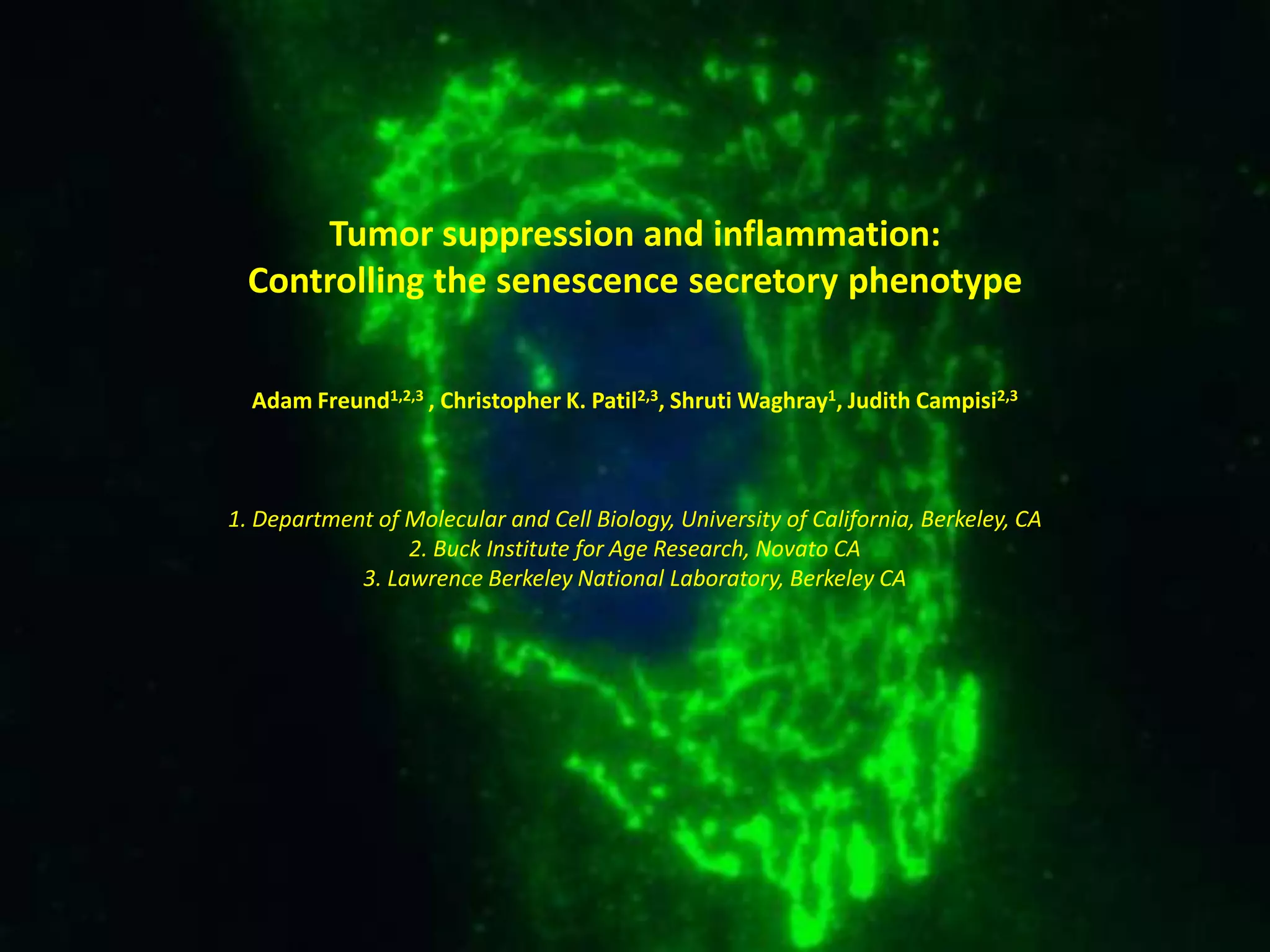 Tumor suppression and inflammation: controlling the senescence associated secretory phenotype ...