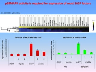 Tumor suppression and inflammation: controlling the senescence ...