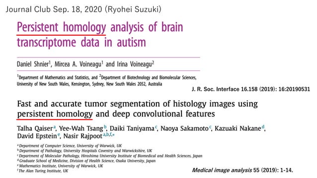 Paper memo: persistent homology on biological problems | PPT