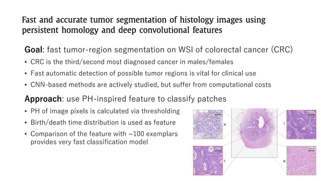 Paper memo: persistent homology on biological problems | PPT
