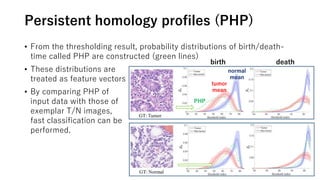 Paper memo: persistent homology on biological problems | PPTX