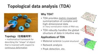 Paper memo: persistent homology on biological problems | PPTX