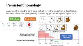 Paper memo: persistent homology on biological problems | PPTX