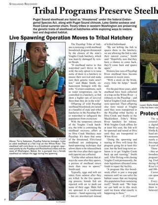 NWIFC Magazine Summer 2009 | PDF