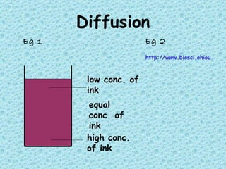 Movement of Substances | PPT | Chemistry | Science