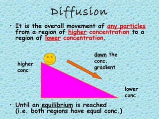 Movement of Substances | PPT | Chemistry | Science