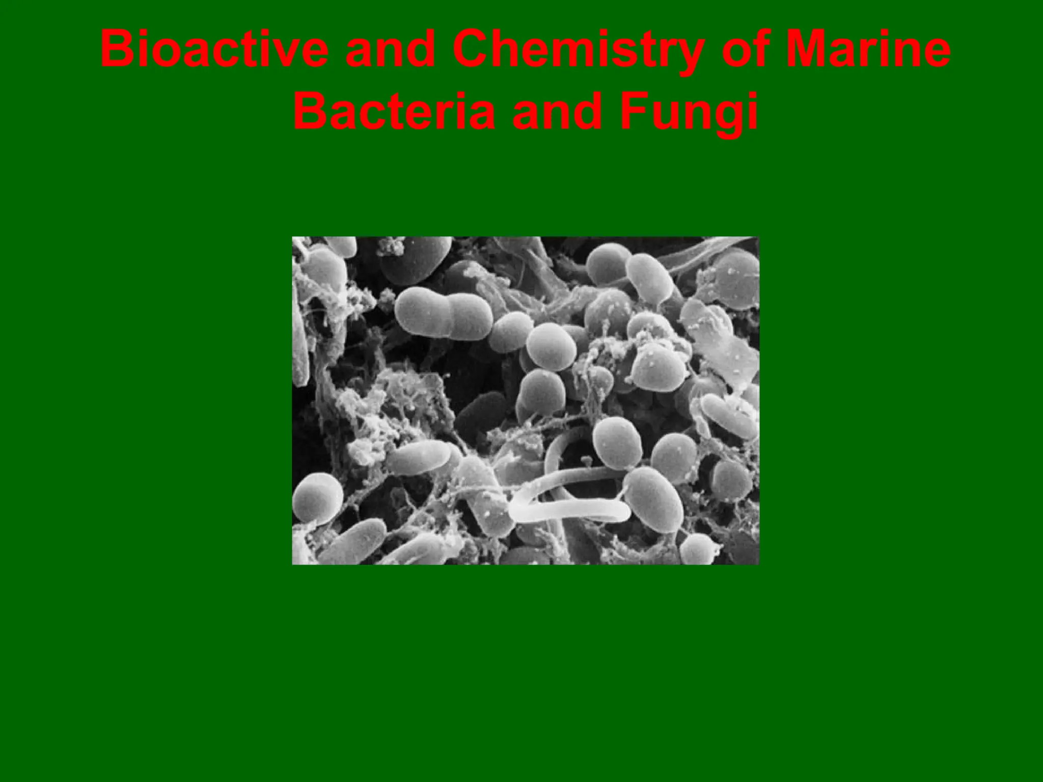 Bioactive and Chemistry of Marine Bacteria and Fungi 2025 | PPT