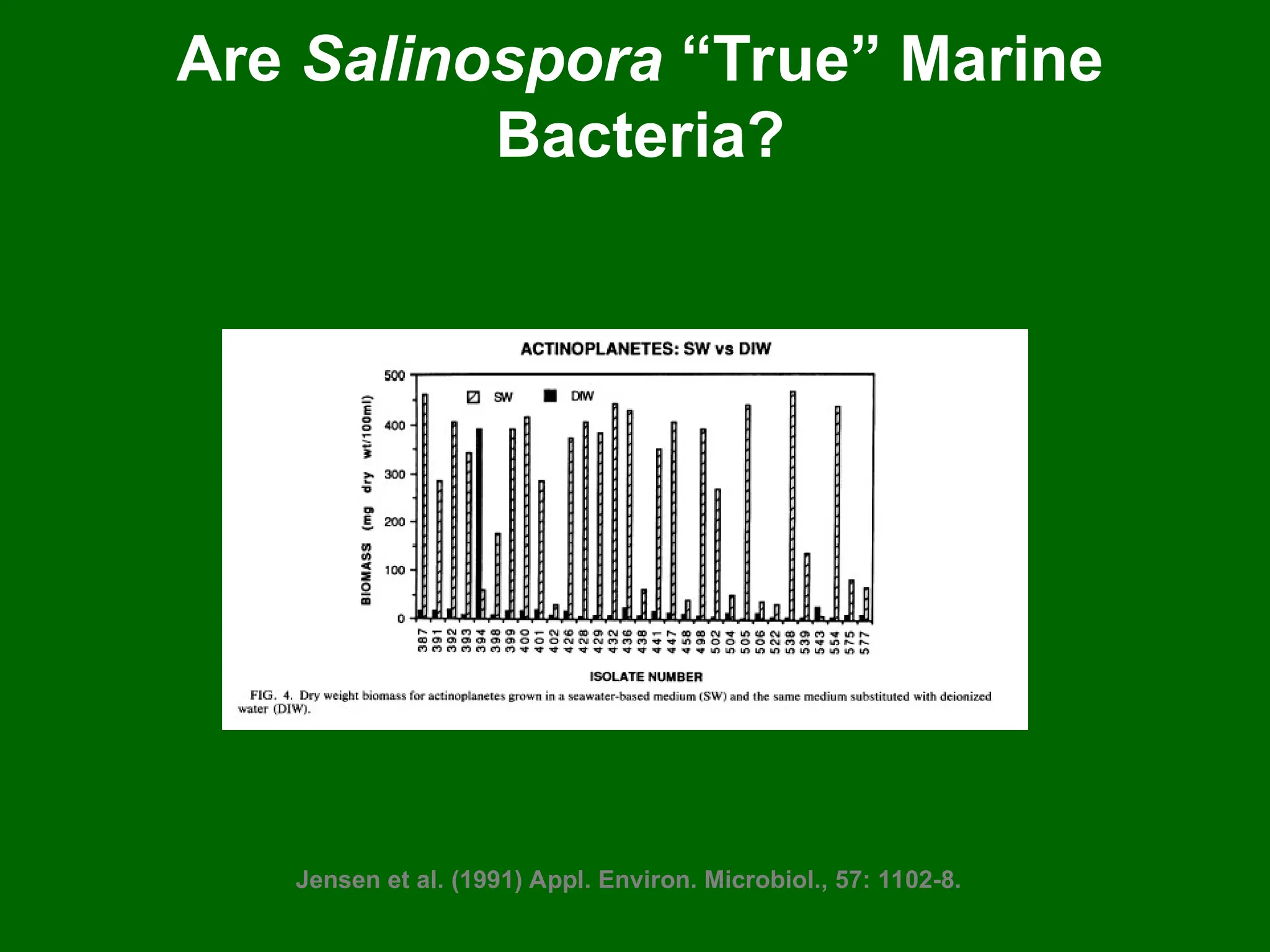 Bioactive and Chemistry of Marine Bacteria and Fungi 2025 | PPT