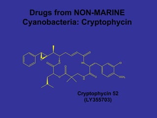 Bioactive and Chemistry of Marine Algae 2025 | PPT