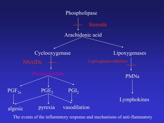 Antipyretic-analgesic and antiinflammatory drugs | PPT