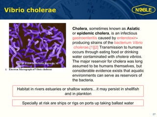 2009 IADC Environment Stavanguer Biofouling And Invasive Species | PPT