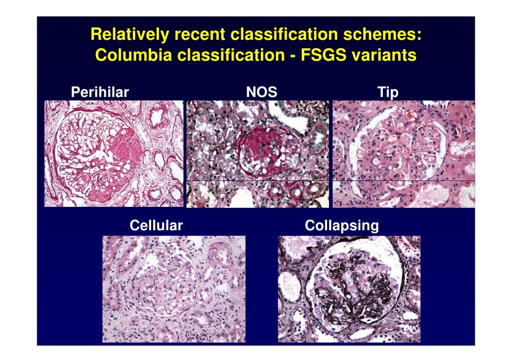 2009 Convegno Malattie Rare Barisoni [23 01]
