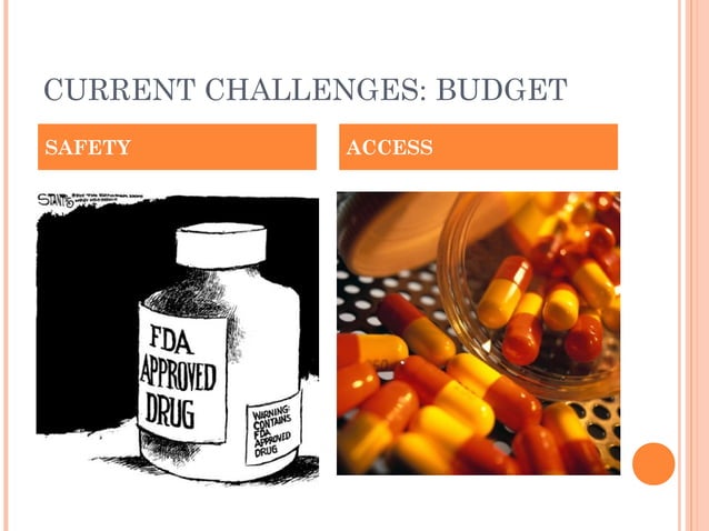 Food Safety Regulation | PPT