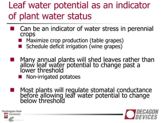Plant water_relations | PDF
