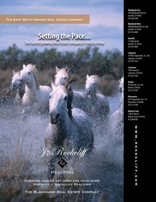 2009 rockcliff ad campaign | PDF