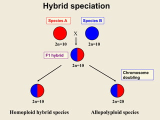 Plant Introductions & Evolution: Hybrid Speciation and Gene Transfer ...