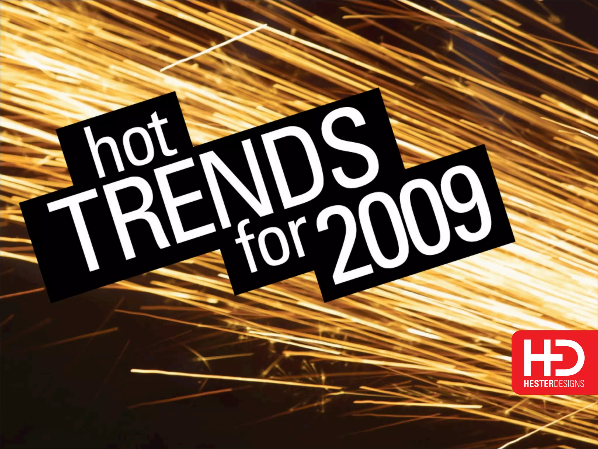 Hot Trends for 2009 | ZIP