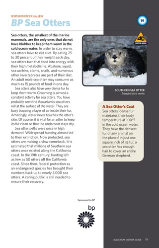 2009 Aquarium of the Pacific Visitor Guide | PDF