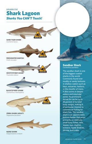 2009 Aquarium of the Pacific Visitor Guide | PDF