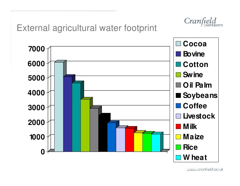 2009 Water Footprint