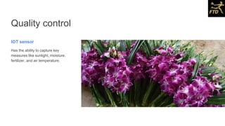 FTD: Transformation with Kubernetes, MongoDB, and GCP | PPT