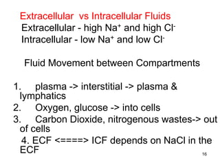 200L Physiology on Body Fluids and Blood | PPT