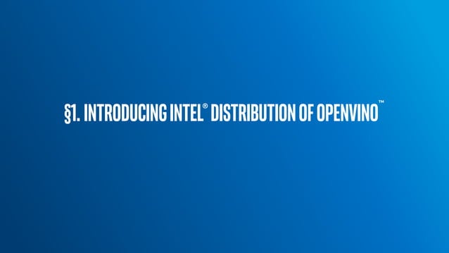 Intermediate Intel® Distribution of OpenVINO™ toolkit for Computer Vision Applications - Course ...