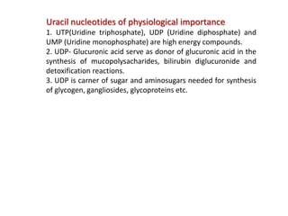 200L MBBS, NUCLEOSIDES ETC-1.pptx