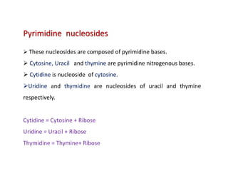 200L MBBS, NUCLEOSIDES ETC-1.pptx