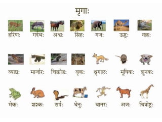 Sanskrit Words List