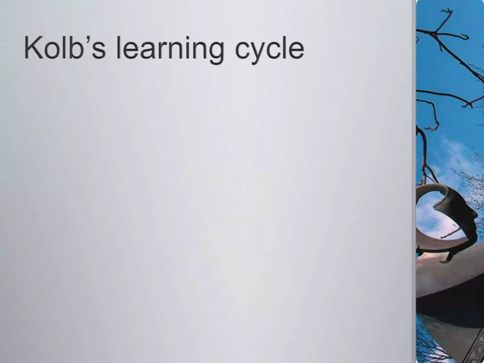 Professional reflection | PPT