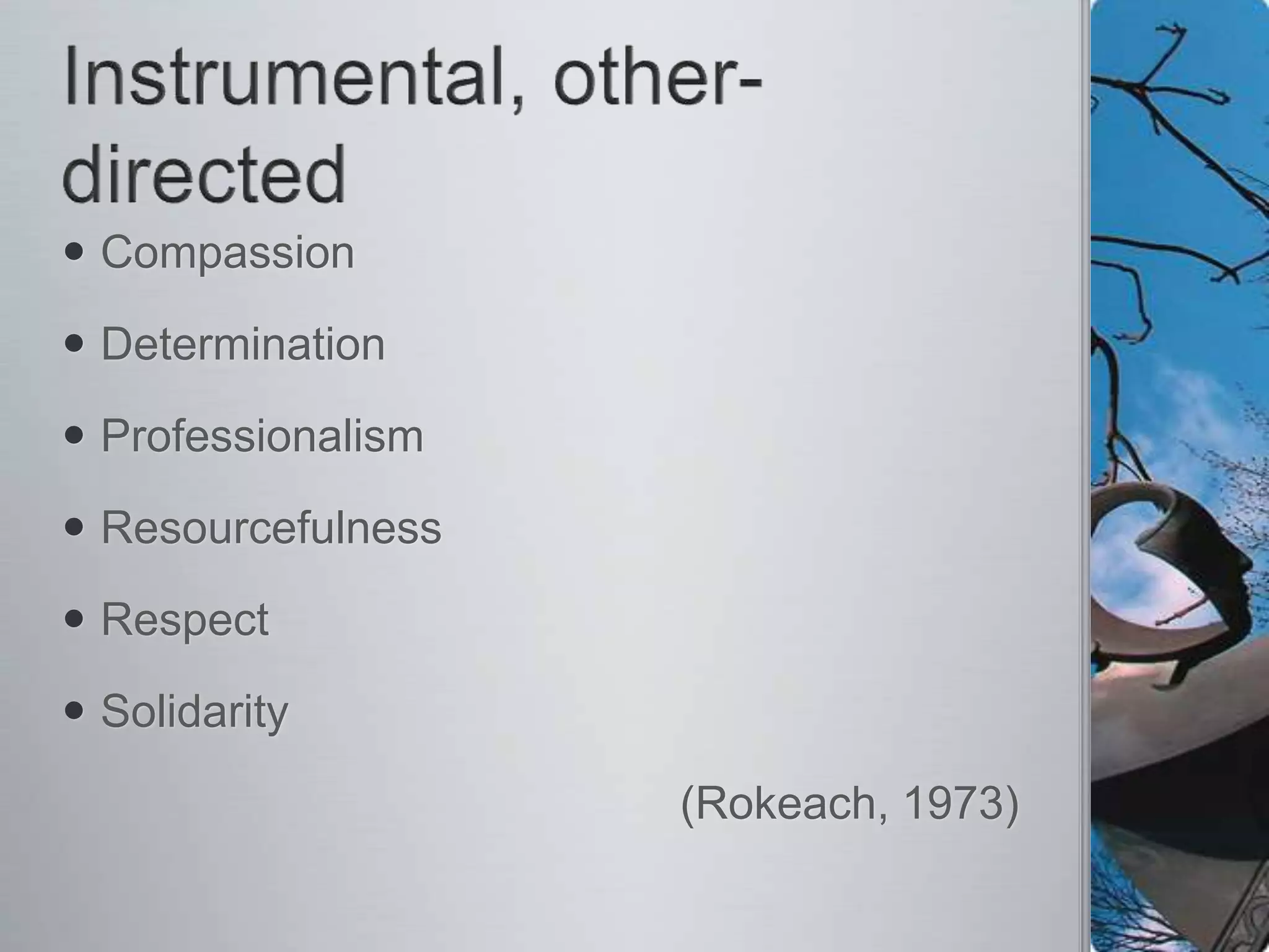 Professional reflection | PPT