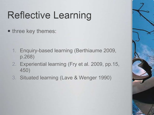 Professional reflection | PPT