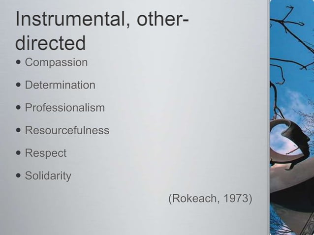 Professional reflection | PPT