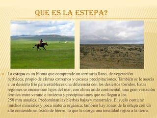 Estepa | PPTX