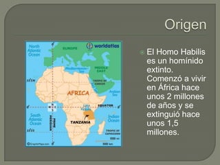 Homo habilis | PPTX