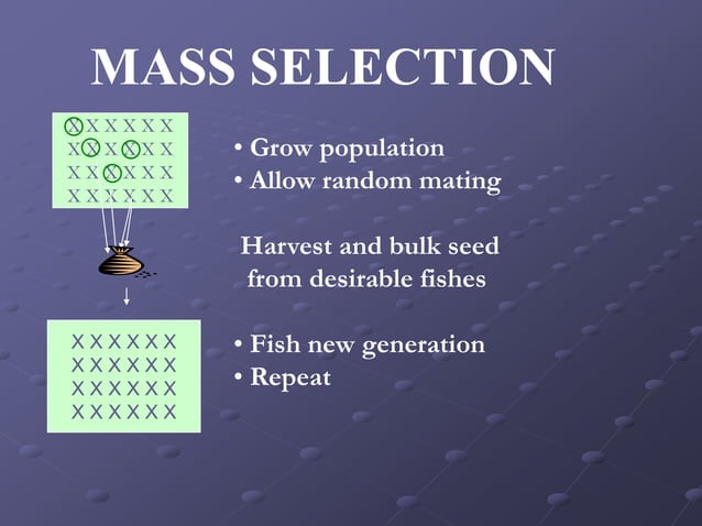 FISHBREEDING and the methods of selection | PPT