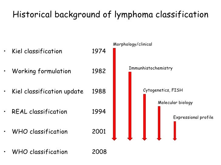 Modern classification of lymphomas (2010) VEAB presentation